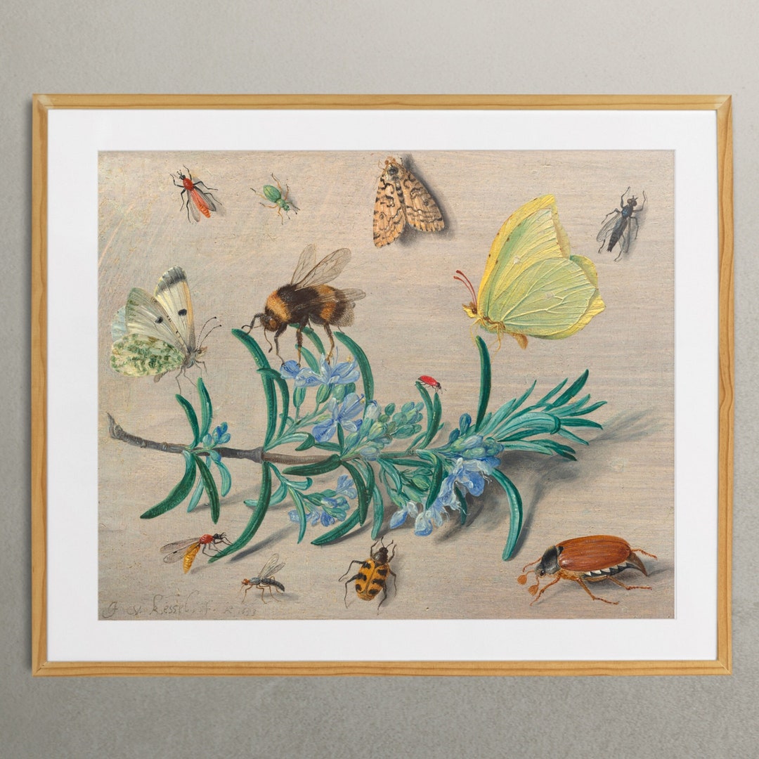 Insects and Rosemary, Renaissance Art With Butterflies, Bee, Beetles ...