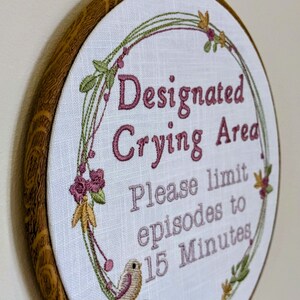 Designated Crying Area Please Limit Episodes to 15 Minutes. - Etsy
