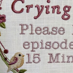 Designated Crying Area Please Limit Episodes to 15 Minutes. - Etsy
