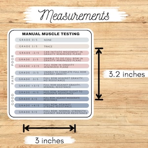 Manual Muscle Testing Sticker, Manual Muscle Testing Reference, MMT ...