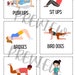 Gross Motor Exercise Cards; Gross Motor Exercise Pocket Dice Cards ...