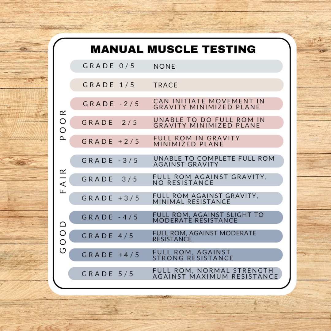 Manual Muscle Testing Sticker, Manual Muscle Testing Reference, MMT ...