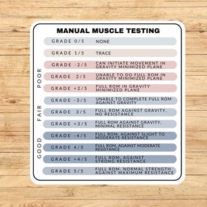 Manual Muscle Testing Sticker, Manual Muscle Testing Reference, MMT ...