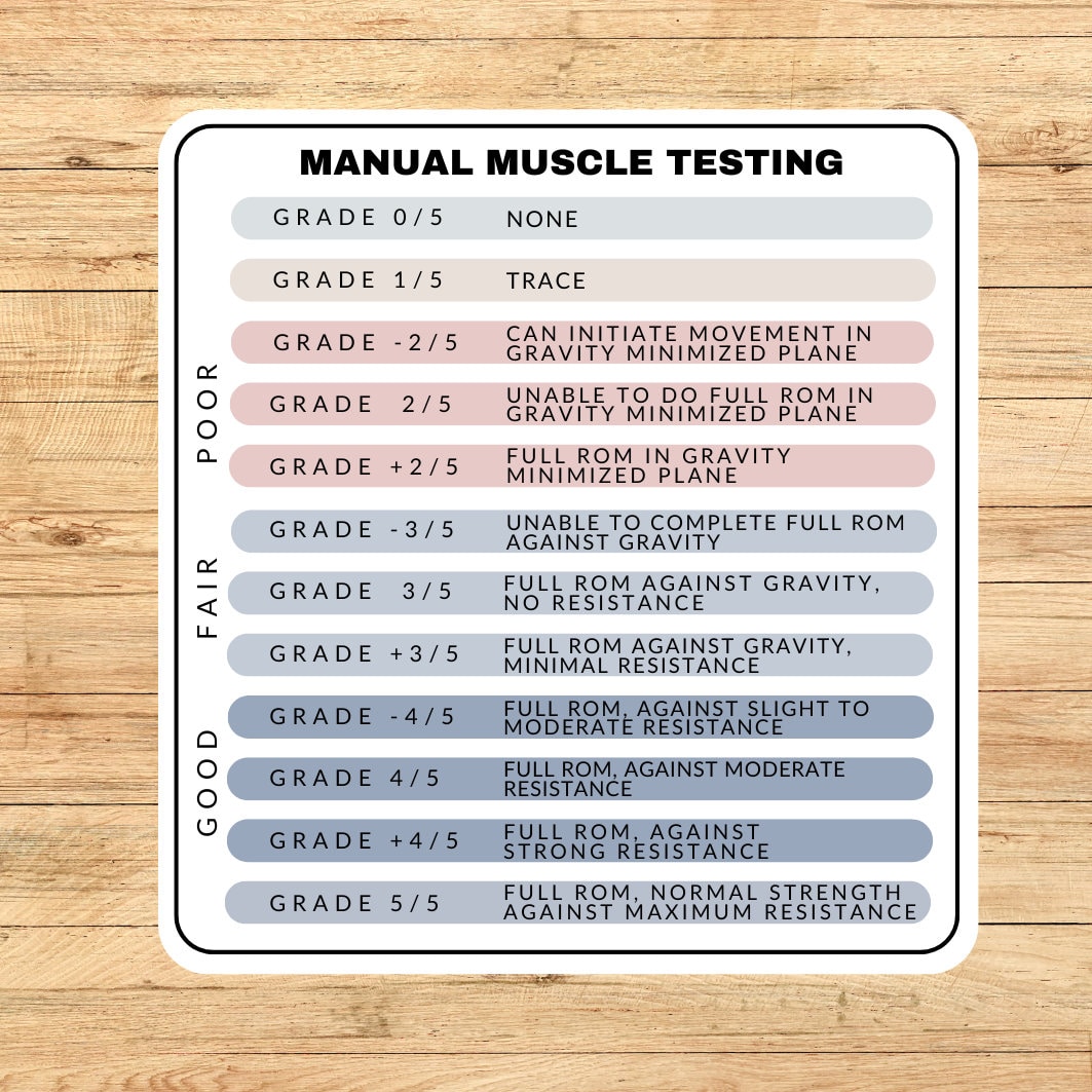 Manual Muscle Testing Sticker, Manual Muscle Testing Reference, MMT ...