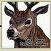 Native UK Terrestrial Mammals Poster - Printable Instant Digital ...