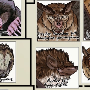 Native UK Terrestrial Mammals Poster Printable Instant Digital Download ...