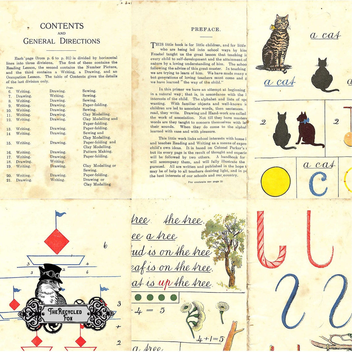 The Austral Primers 1: First Steps of School (whitcombe &tombs Ltd ...