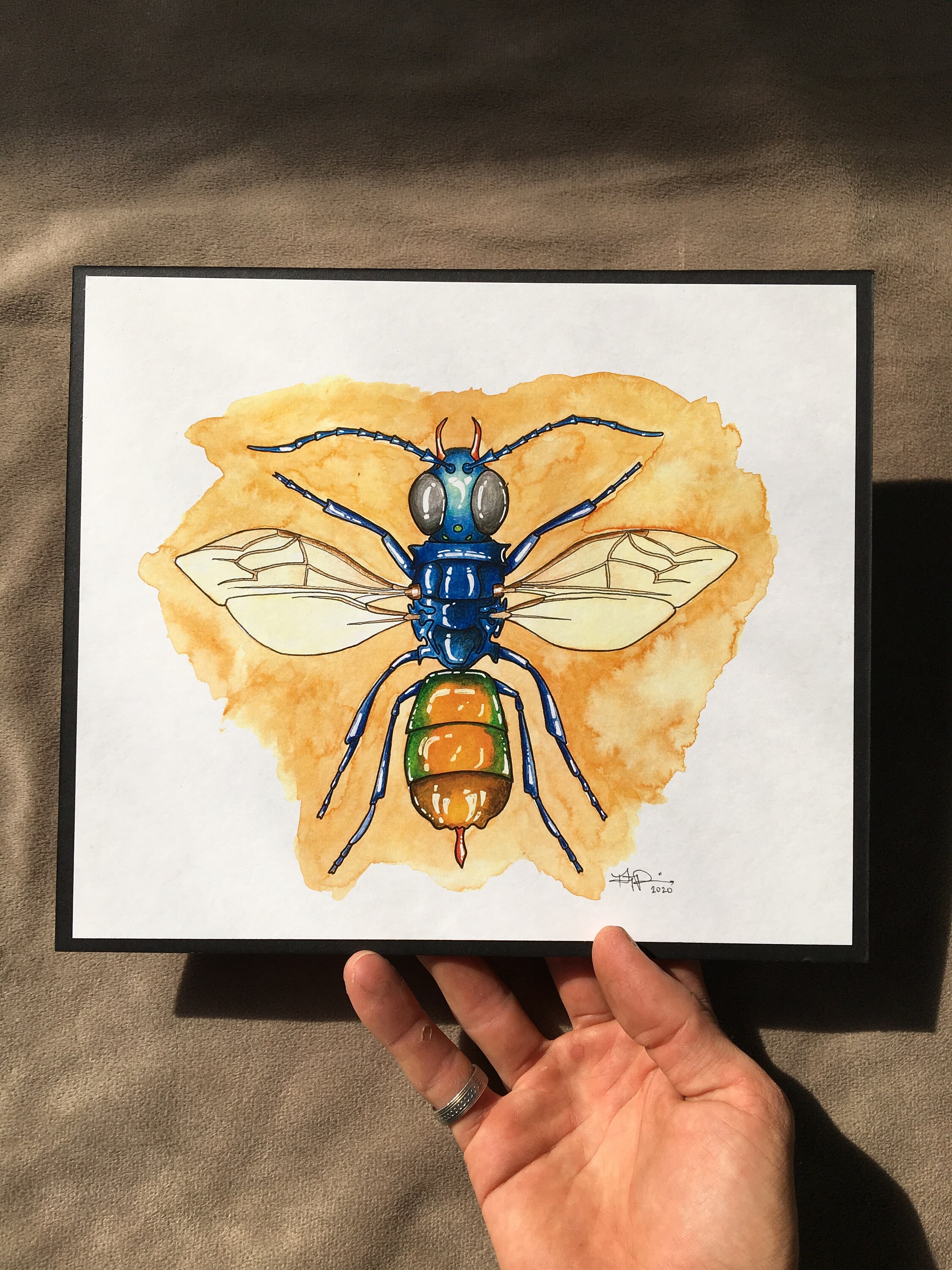Cuckoo Wasp Print - Etsy