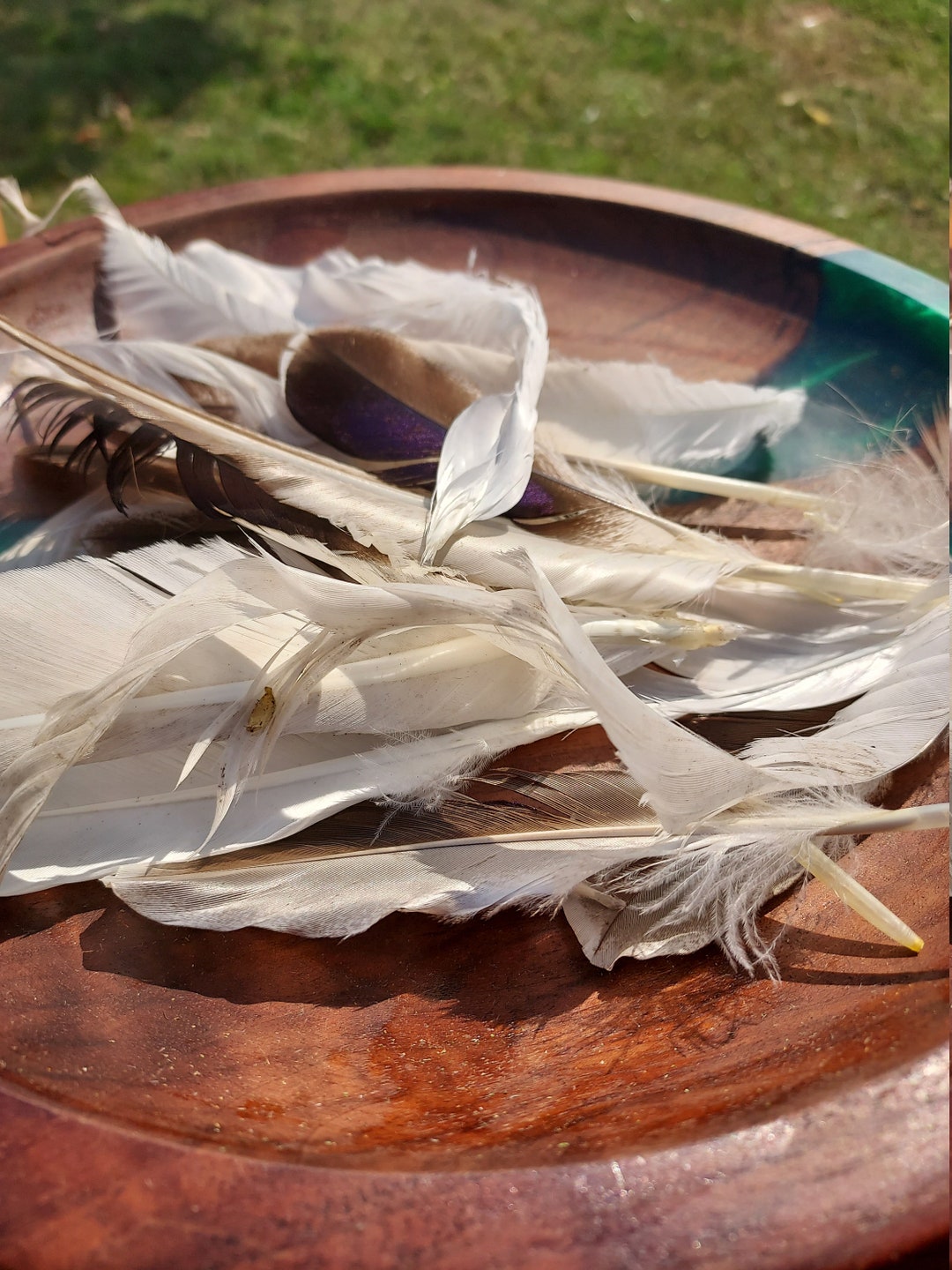 20 Piece Feathers for Crafting - Etsy