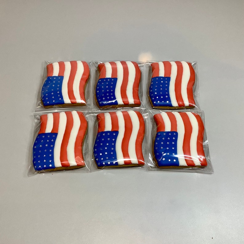 Memorial Day Theme Party Favors, Flag Day Cookies, Independent Day ...