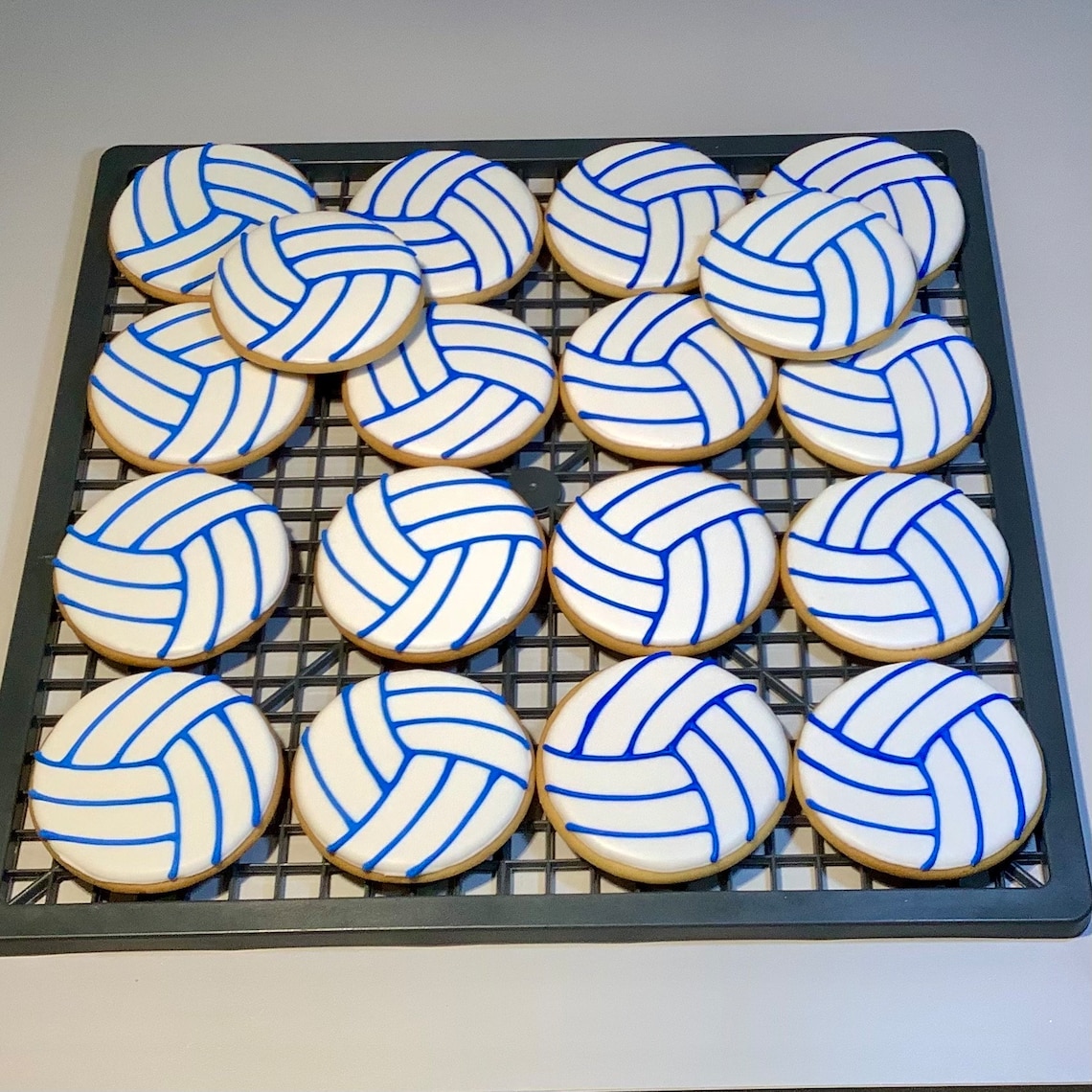 Volleyball Party Cookies, Gift Set of volleyball Team Cookies, Sports ...