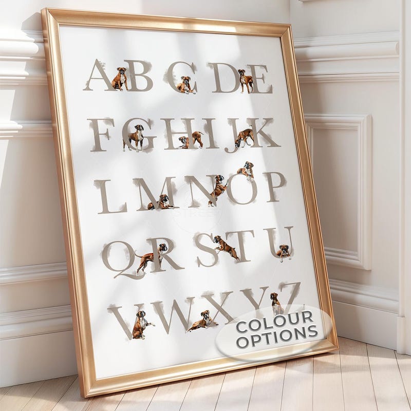 Custom Boxers Girls - Etsy