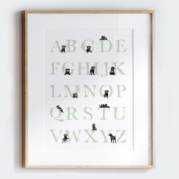 Labrador Alphabet Poster - Etsy