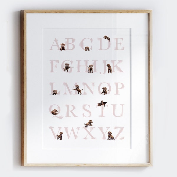 Chocolate Decor - Etsy