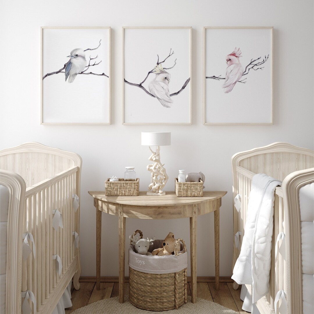 Australian Native Bird Print Set of 3, Australian Bird, Printable Art ...