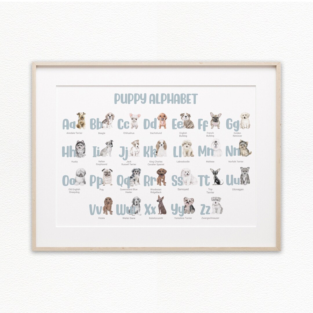 Puppy Alphabet Poster Blue Alphabet Poster ABC Print Puppy - Etsy