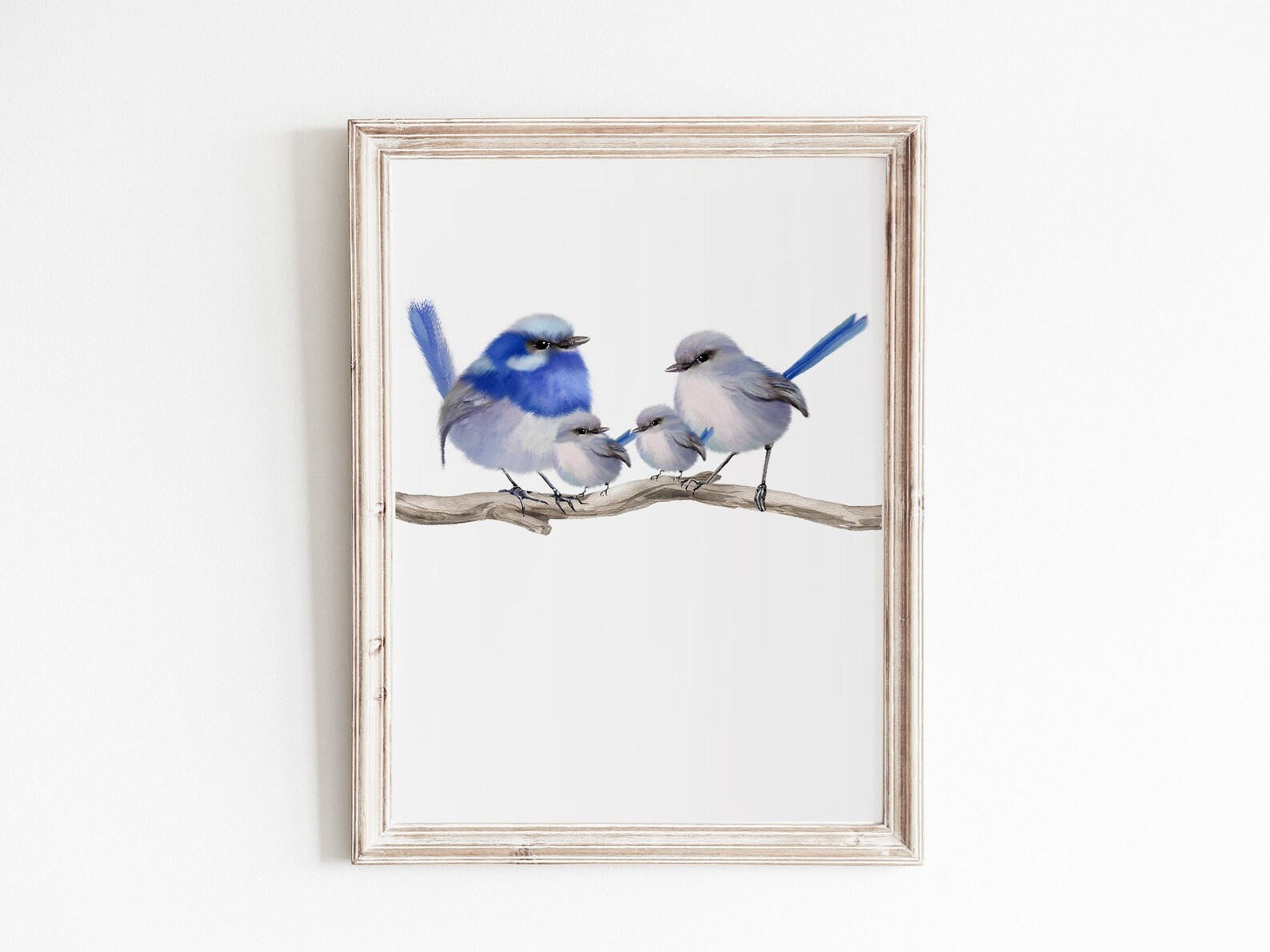 Wren Print Blue FAIRY WREN FAMILY Print Australian Bird - Etsy Australia