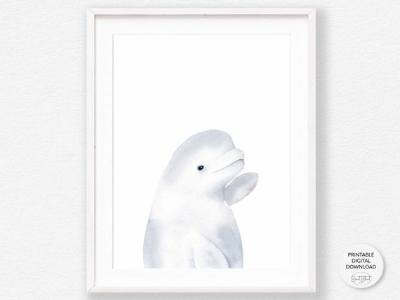 BELUGA WHALE Beluga Whale Print Whale Print Whale Wall Art - Etsy