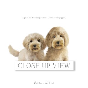 GOLDENDOODLE Nusery Decor. Set of 3 Golden Doodle Nursery Wall Art ...