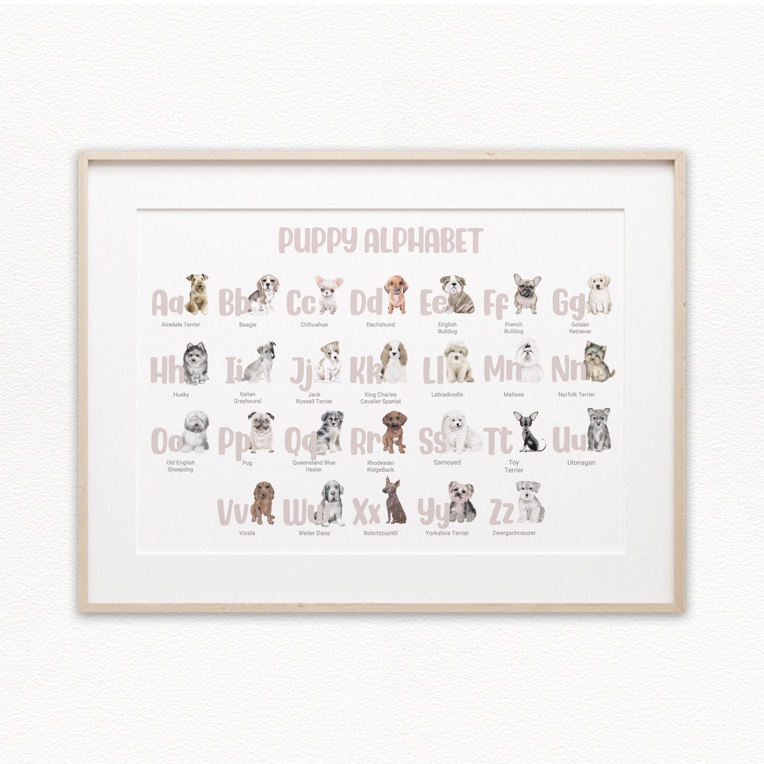 Dog Alphabet Print Pastel Alphabet Poster, Puppy Alphabet Print ... Dog Alphabet Print Pastel Alphabet Poster, Puppy Alphabet Print ...