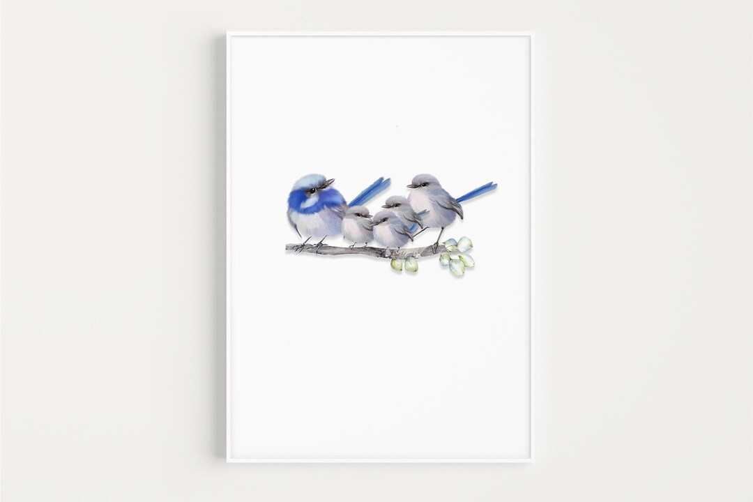 Wren Print, Blue FAIRY WREN FAMILY Print Australian Bird Nursery ...