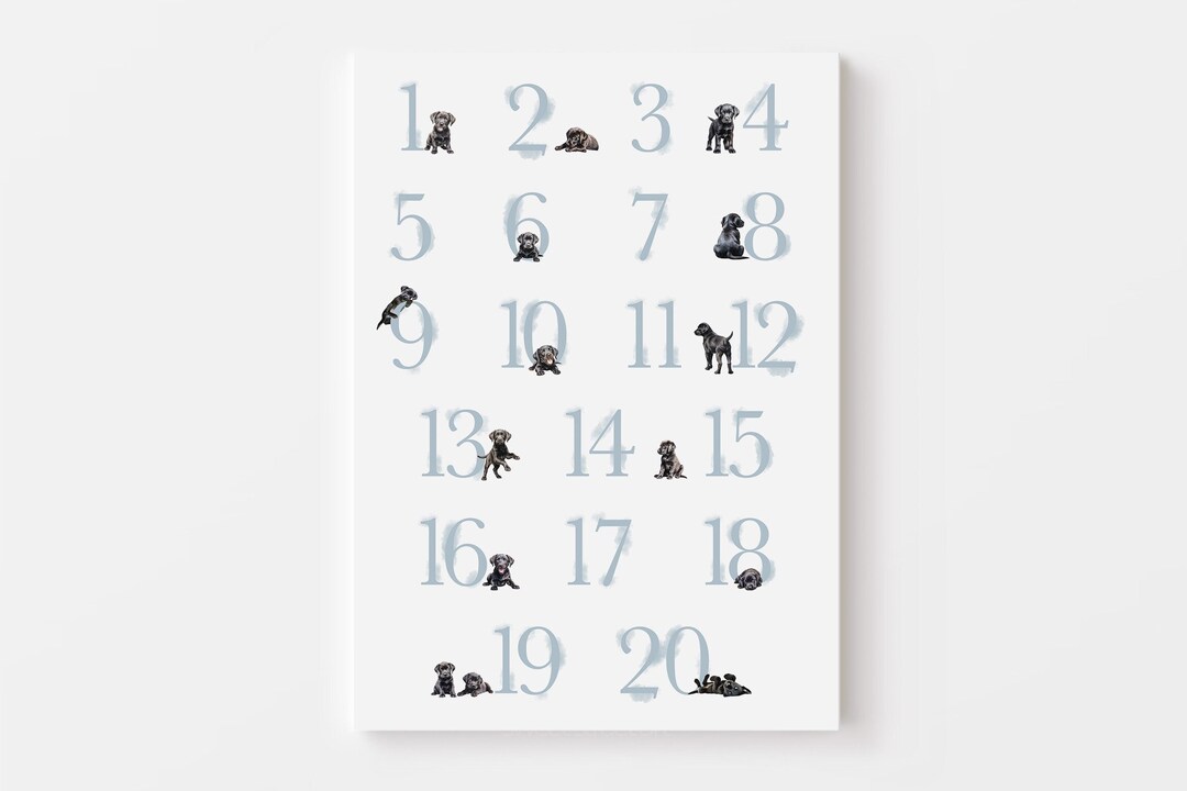 BLACK LABRADOR Numbers Poster. Boys Puppy Nursery Decor. Dog Nursery ...