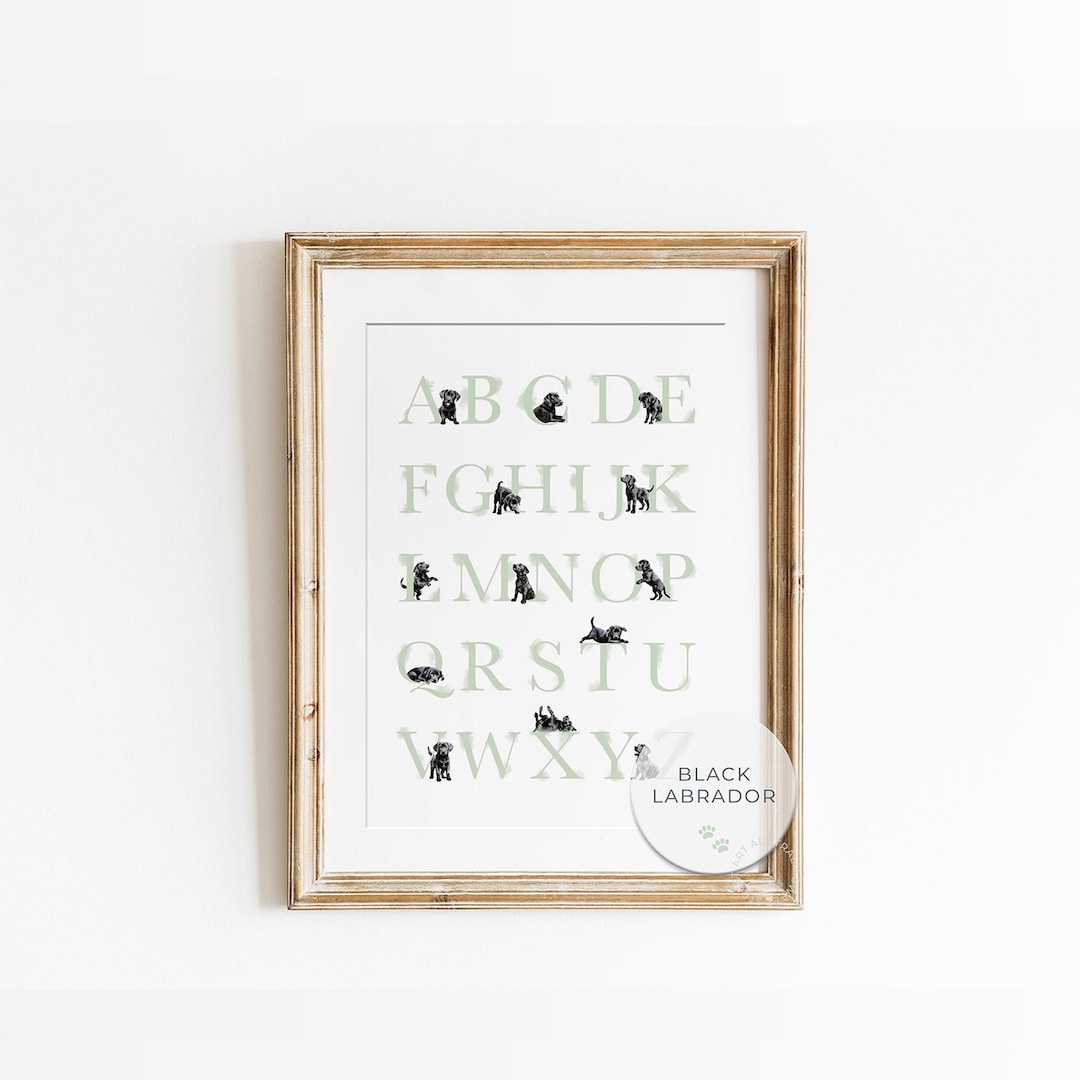 BLACK LABRADOR ABC Poster With Sage Green Letters | Puppy Nursery Decor ...