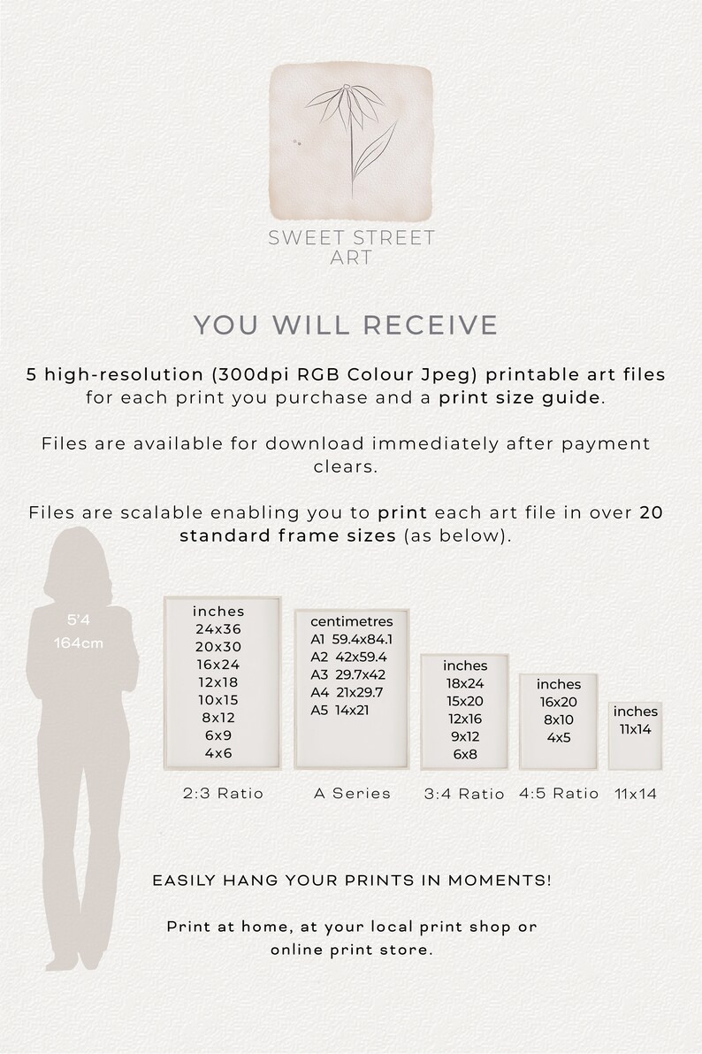 BELUGA WHALE Beluga Whale Print Whale Print Whale Wall Art - Etsy