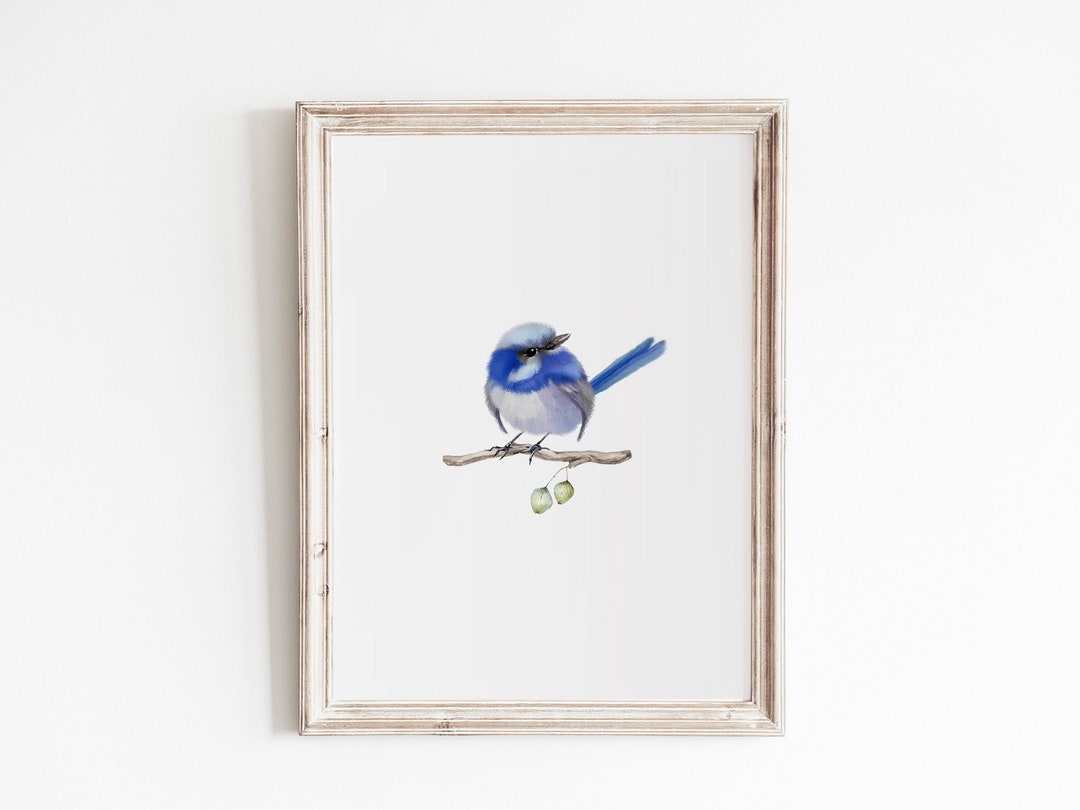 FAIRY WREN Print, Australian Native Bird, Bird Wall Art, Printable Wall ...