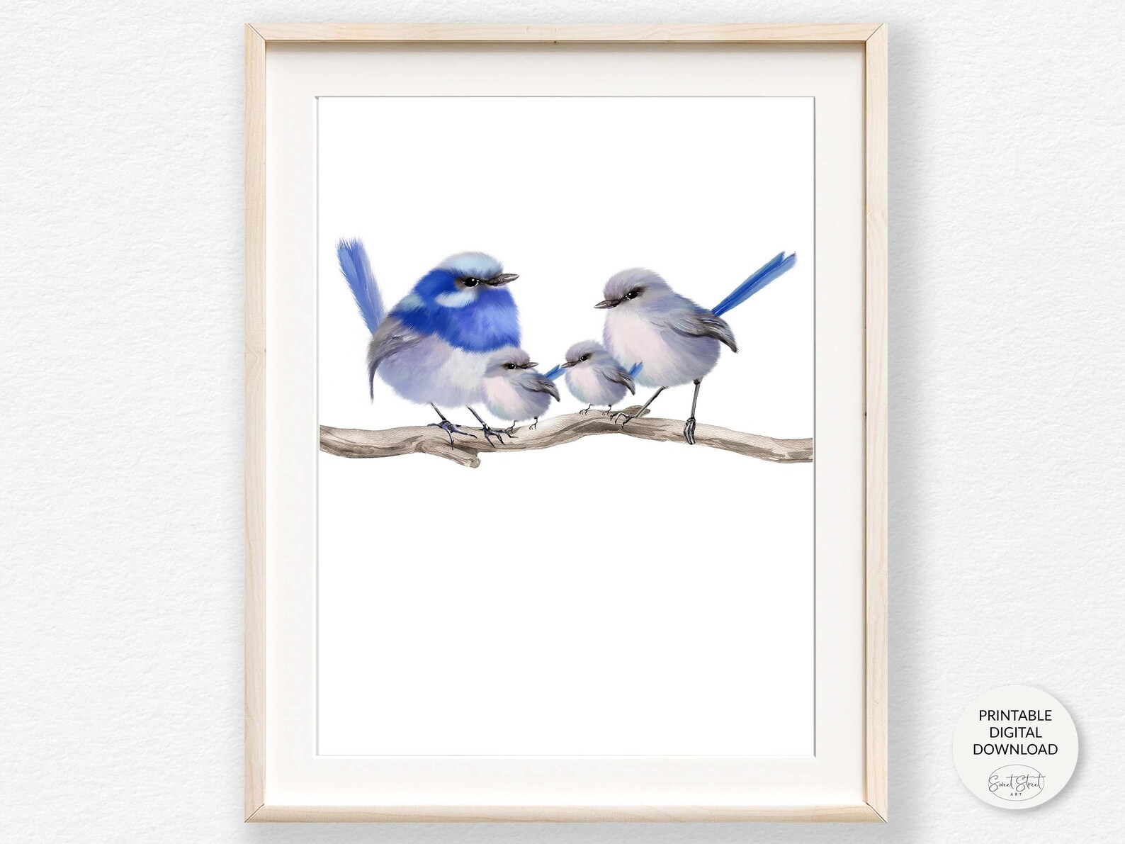Wren Print Blue FAIRY WREN FAMILY Print Australian Bird - Etsy Australia