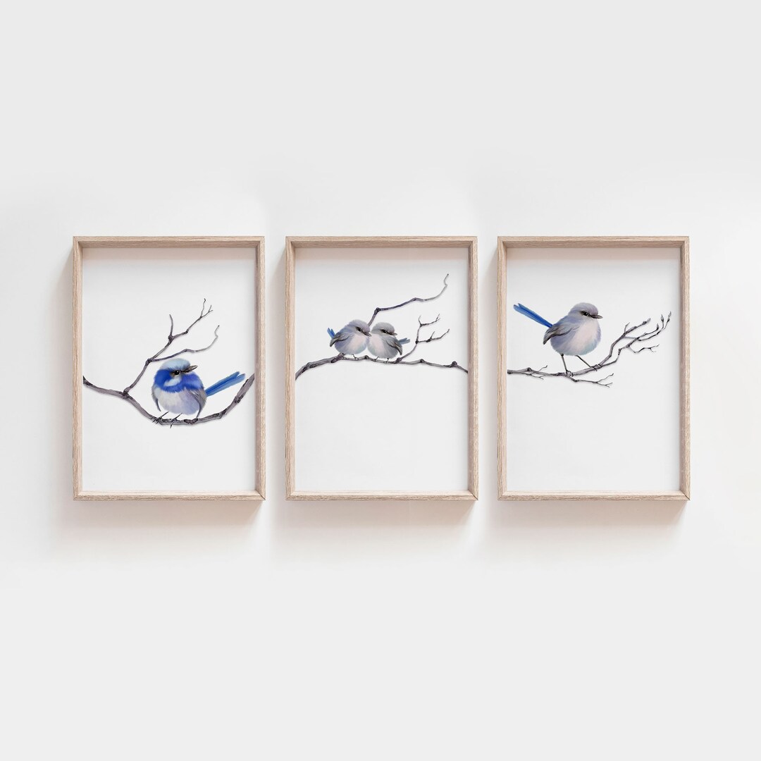 Blue Fairy Wren Family Print Set of 3. Australian Bird Nursery Art or ...