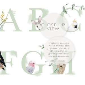 Australian Animal ABC Poster Alphabet Poster Alphabet - Etsy