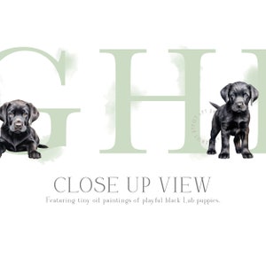 BLACK LABRADOR ABC Poster With Sage Green Letters Puppy Nursery Decor ...