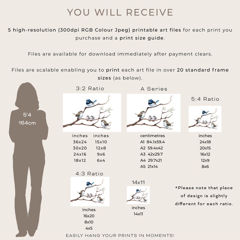 BLUE FAIRY WREN Family Print Printable Art Australian Bird - Etsy