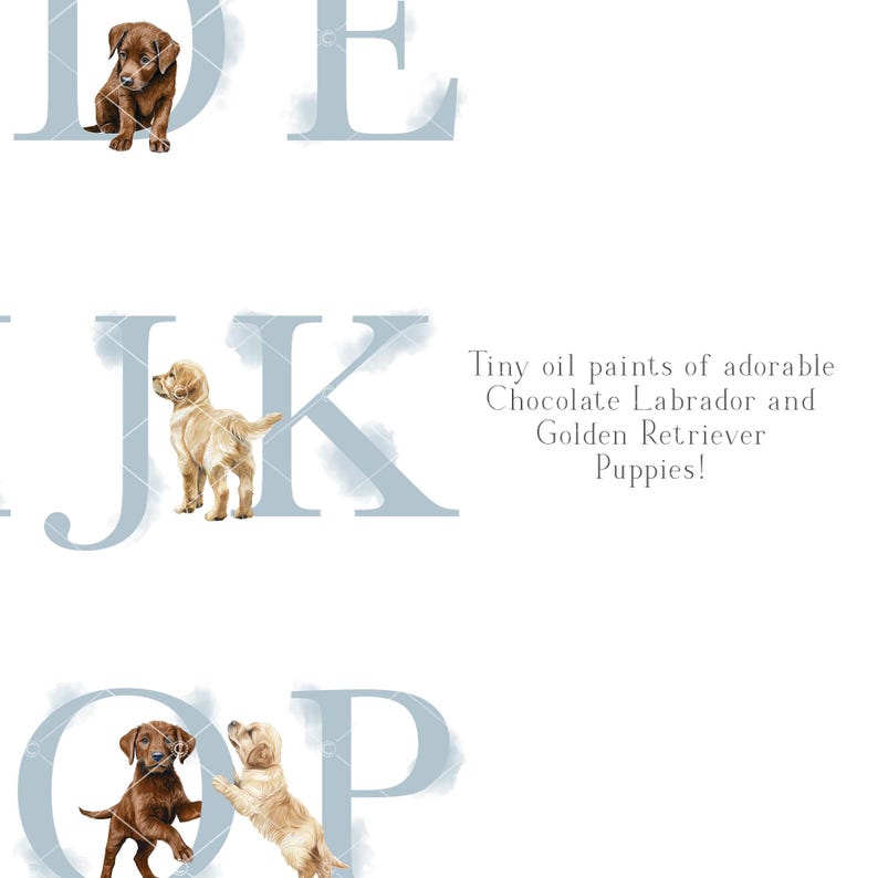 Golden Retriever, Chocolate Labrador Blue Puppy Alphabet Poster. Dog ...
