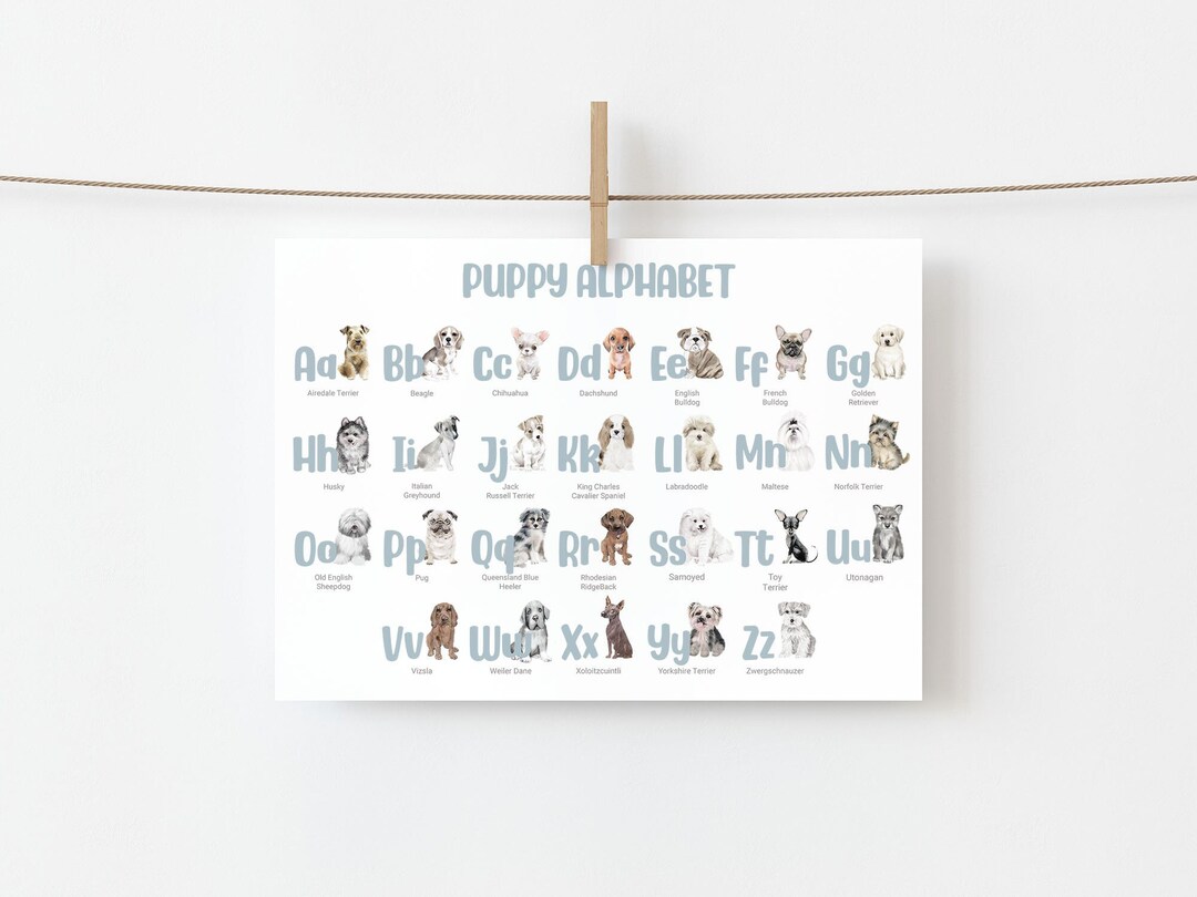 Puppy Alphabet Poster Blue Alphabet Poster ABC Print Puppy - Etsy