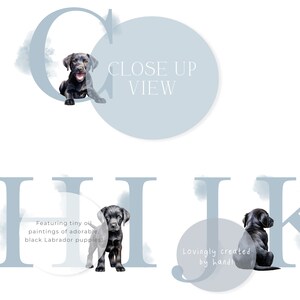 BLACK LABRADOR ABC Poster for Boy Puppy Nursery Decor Digital Prints ...