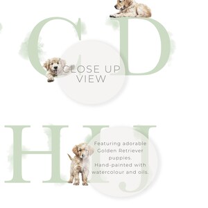 GOLDEN RETRIEVER Alphabet Poster. Puppy ABC Poster. Golden - Etsy