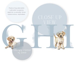 YELLOW LAB Nursery Wall Art: Labrador Alphabet Poster in Pastel Blue ...