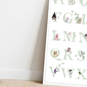 Australian Animal ABC Poster | Alphabet Poster | Alphabet Print ...