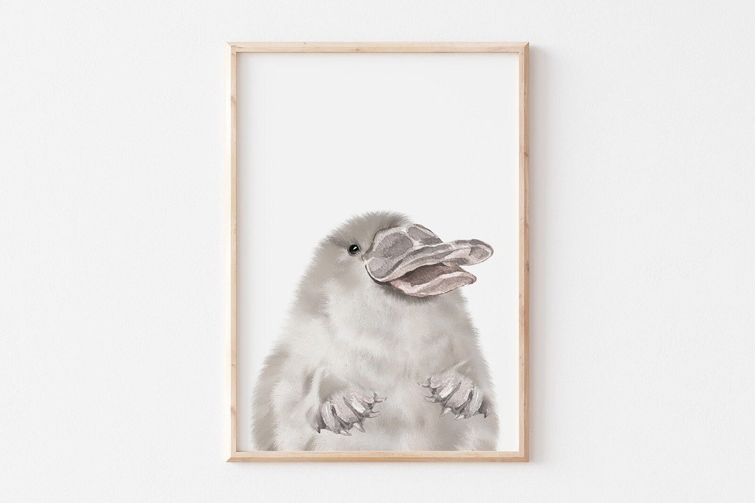 PLATYPUS POSTER, Australian Animal, Printable Wall Art, Platypus Art ...