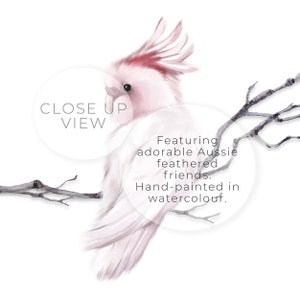 Australian Native Bird Print Set of 3, Australian Bird, Printable Art ...