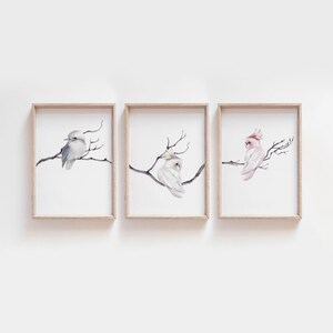 Australian Native Bird Print Set of 3, Australian Bird, Printable Art ...