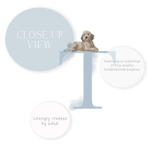 GOLDENDOODLE ABC Poster for Boy Puppy Nursery Decor Digital Prints Dog ...
