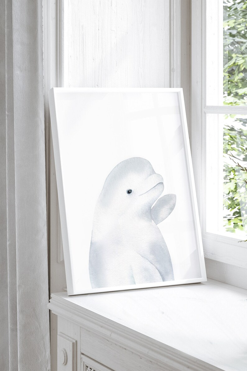 BELUGA WHALE Beluga Whale Print Whale Print Whale Wall Art - Etsy