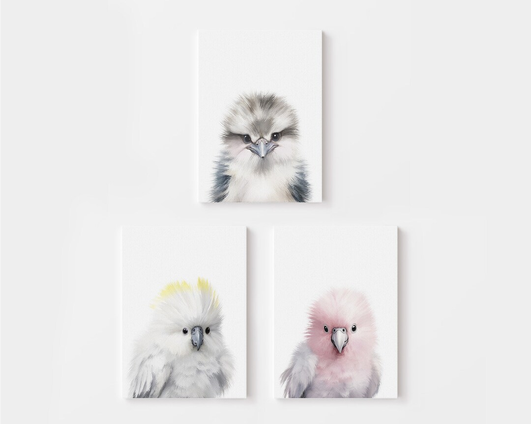 Australian Native Bird Print Set of 3 - Featuring a Cockatoo ...