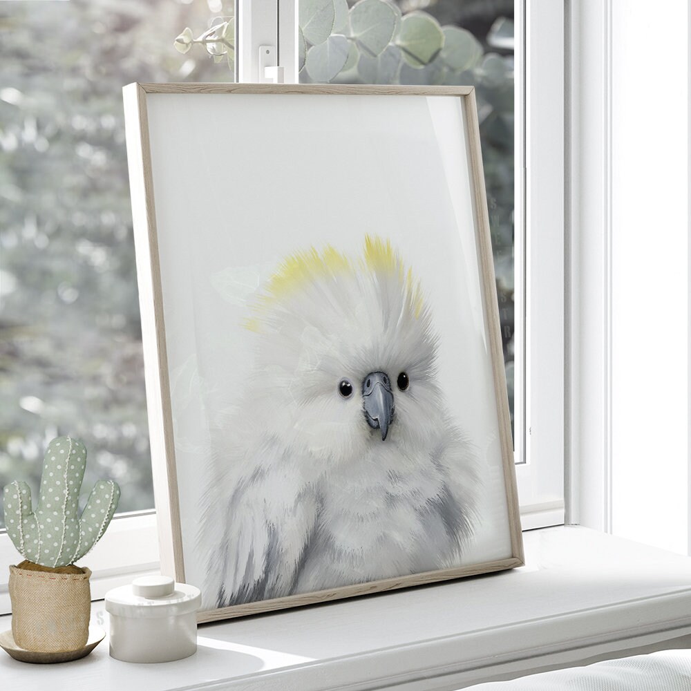 Australian Native Bird Print Set of 3 Featuring a Cockatoo - Etsy