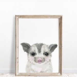 AUSTRALIAN ANIMAL, Nursery Print Set, Sugar Glider, Kookaburra, Koala ...