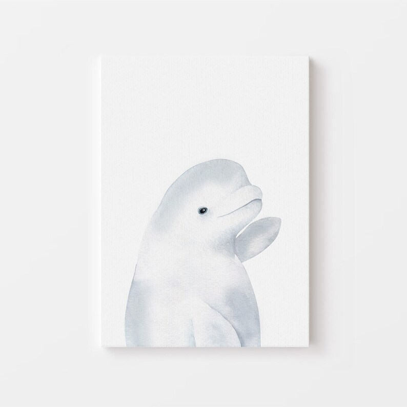BELUGA WHALE, Beluga Whale Print, Whale Print, Whale Wall Art, Whale ...