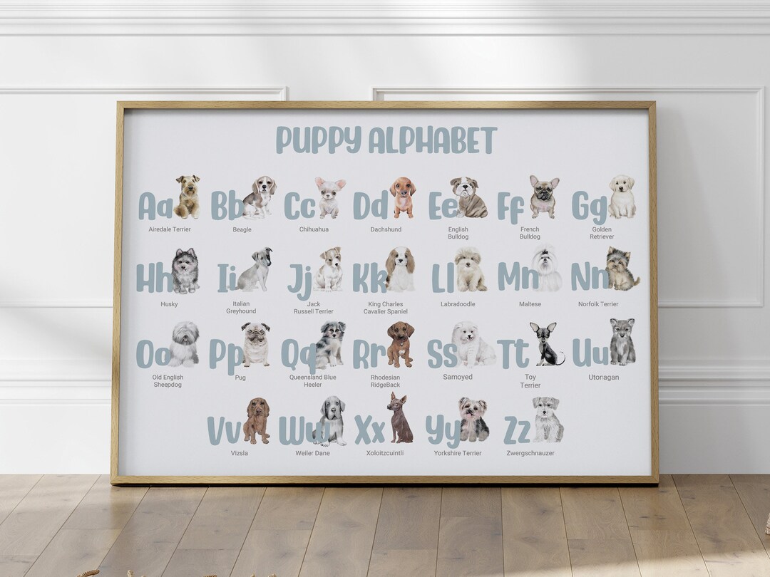 Puppy Alphabet Poster, Blue Alphabet Poster, ABC Print, Puppy Dog ...